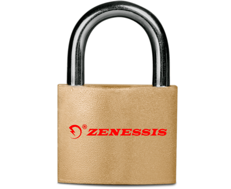 About Us - Zenessis Romania