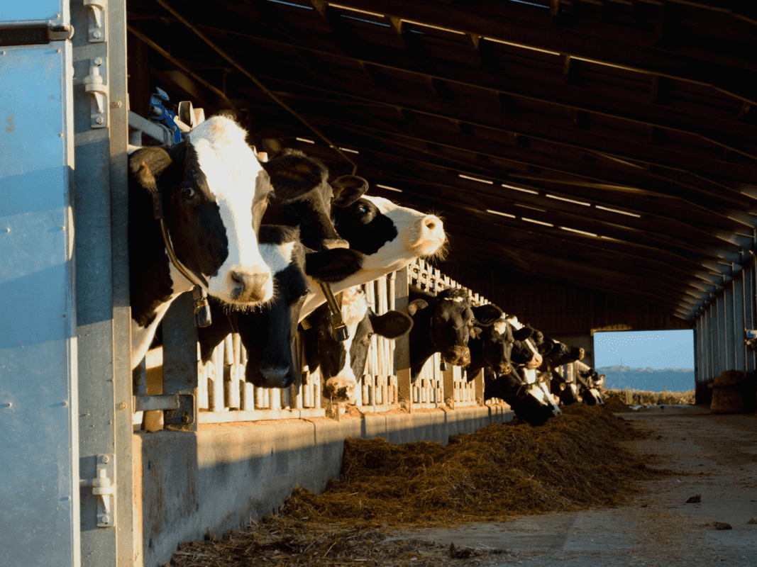 Diesel Generator for Agriculture: Efficiency and Reliability on Farms ...